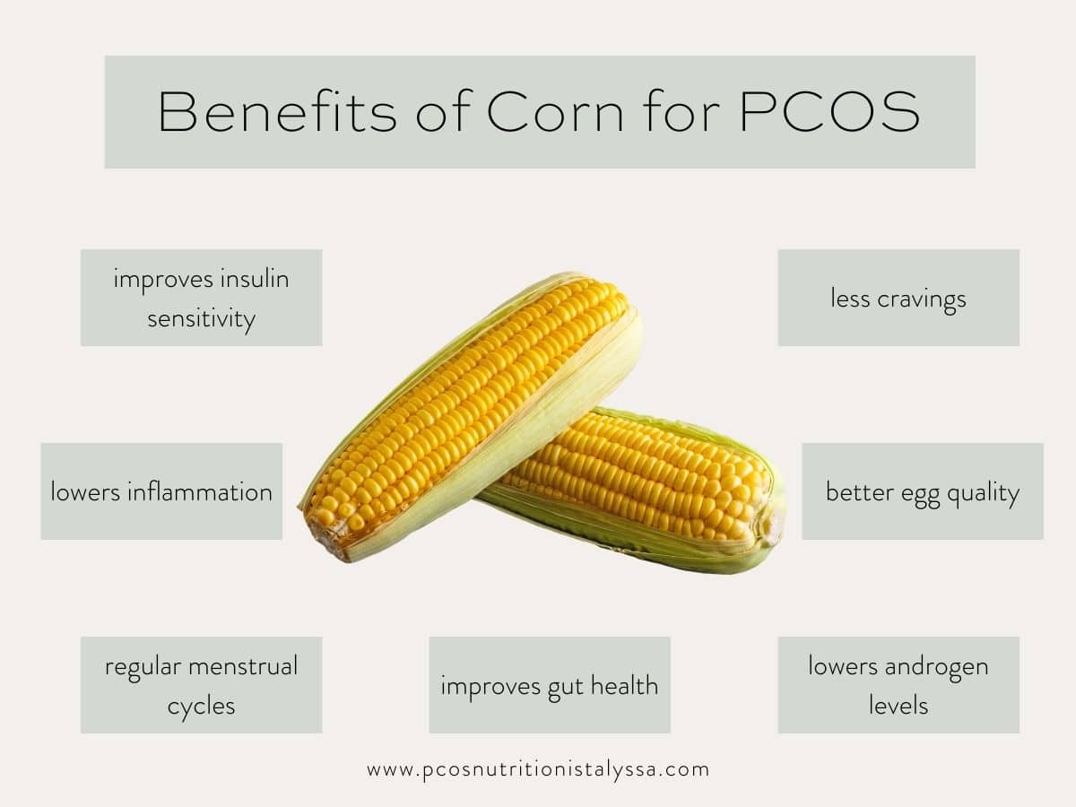 Is Corn Good For PCOS? A Dietitian's Thoughts & Tips - The PCOS ...