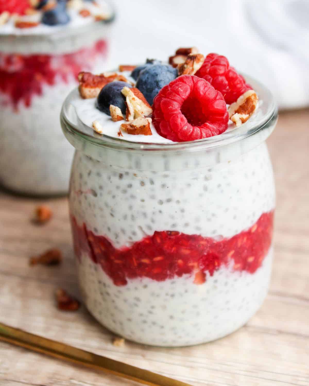 Greek Yogurt Chia Pudding (Easy + High Protein) - The PCOS Nutritionist ...