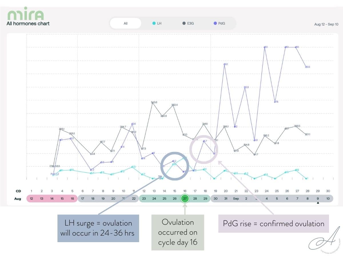 Inito vs Mira: I Tried Both Monitors - Which Is Best? - The PCOS ...
