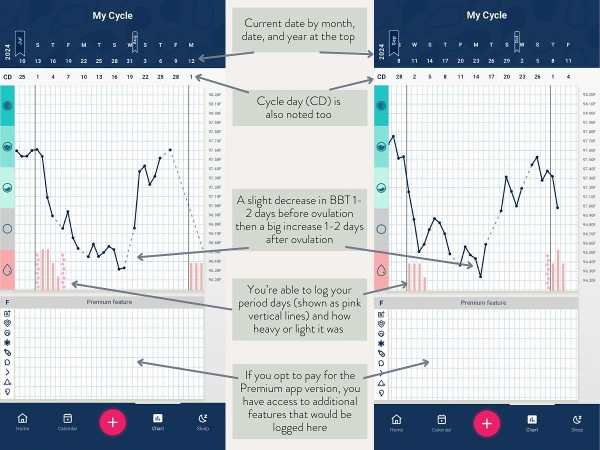 Tempdrop Review 2025: I Tried It - Is It Worth It? - The PCOS ...