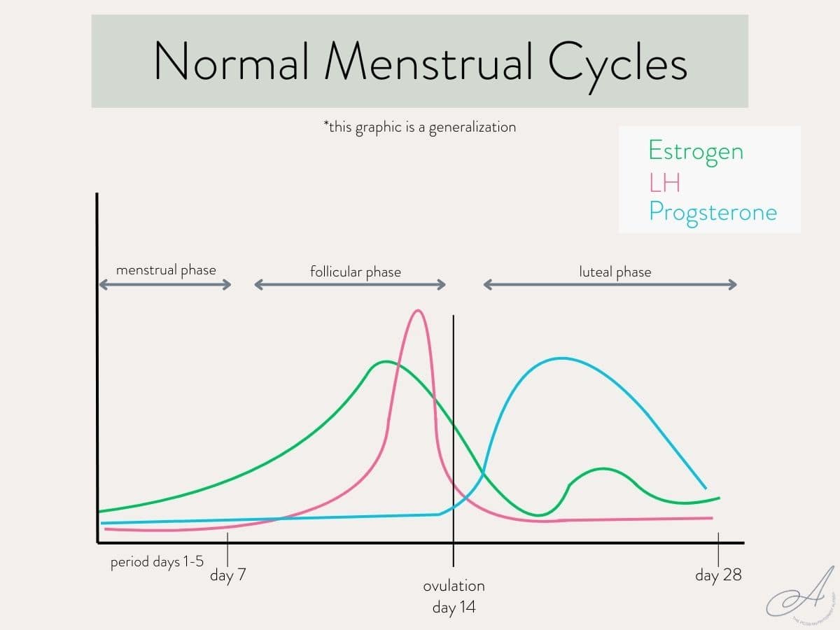 PCOS and Ovulation Tests: The Best Way To Use Them - The PCOS ...