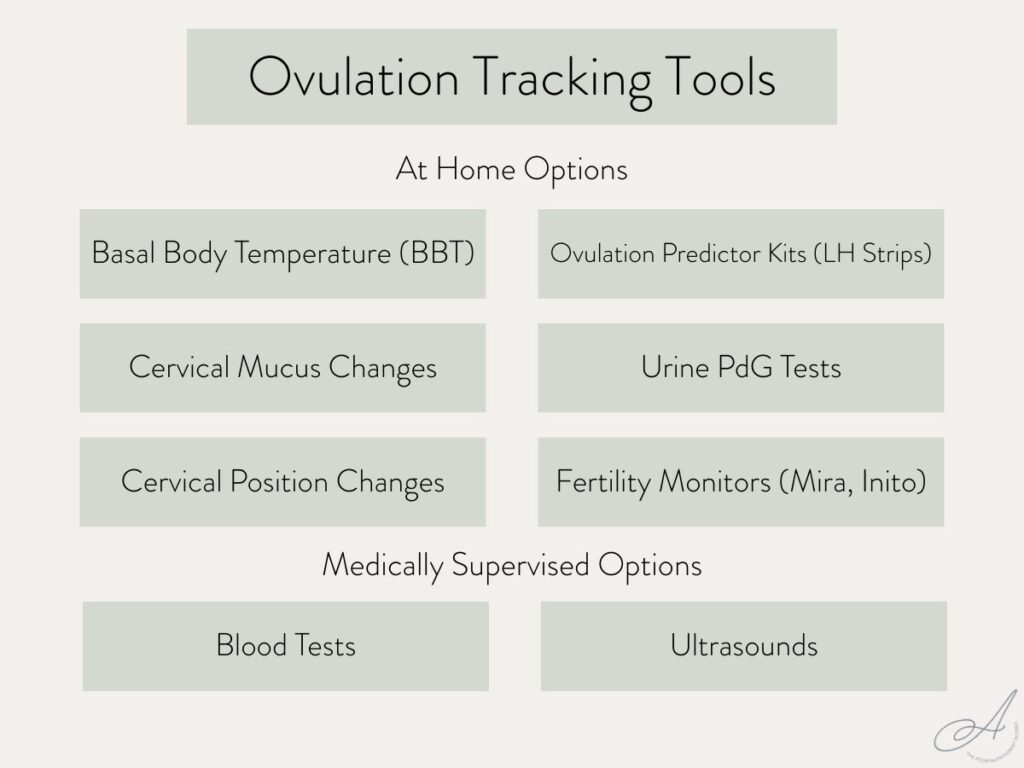 PCOS and Ovulation Tests: The Best Way To Use Them - The PCOS ...