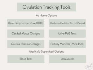 PCOS and Ovulation Tests: The Best Way To Use Them - The PCOS ...