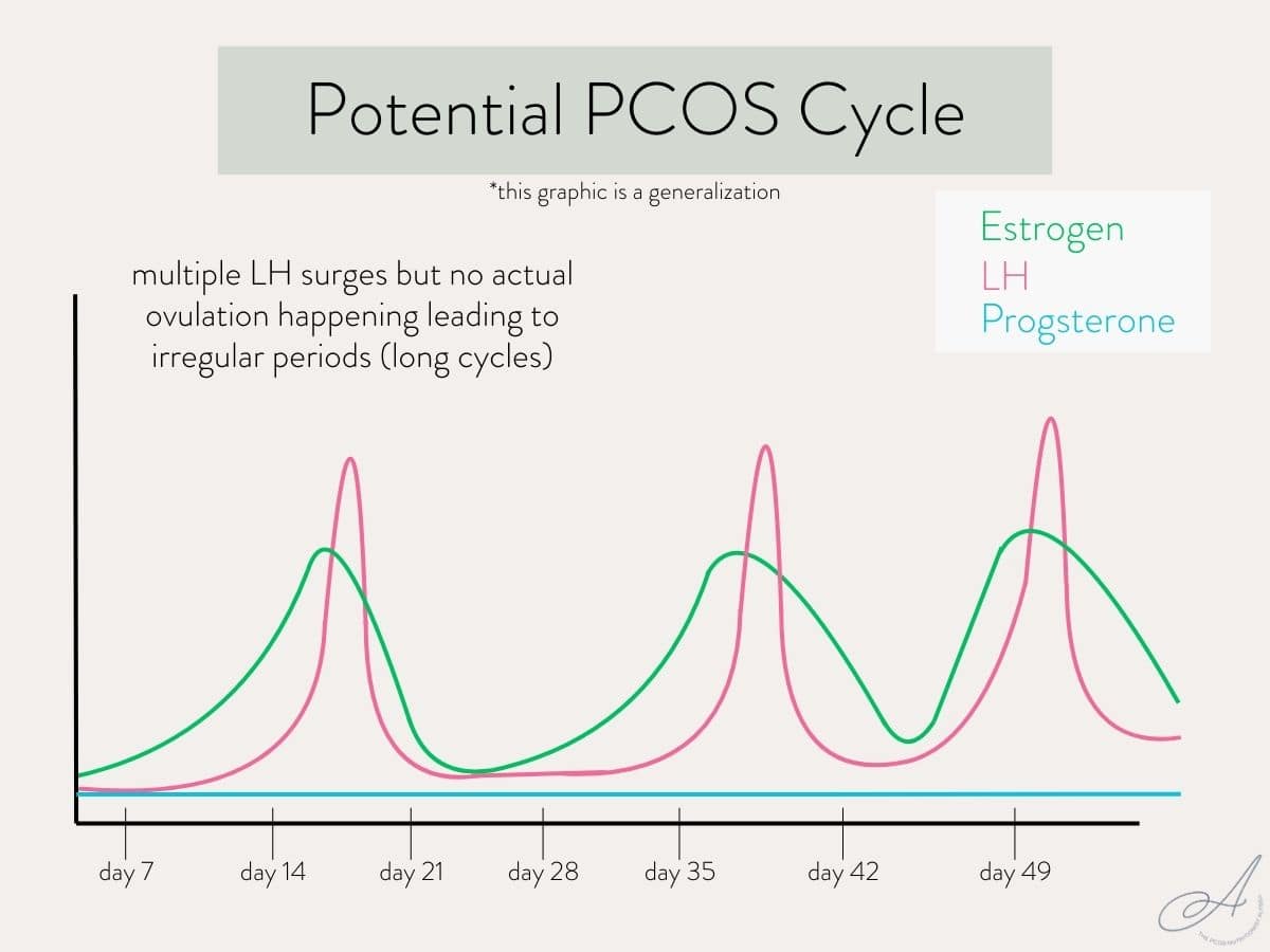 PCOS and Ovulation Tests: The Best Way To Use Them - The PCOS ...