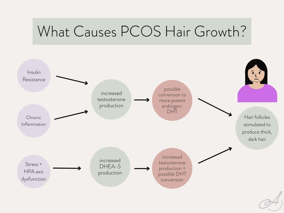 10 Tips To Reduce PCOS Hair Growth Naturally - The PCOS Nutritionist Alyssa