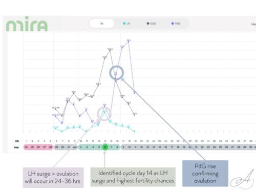 Inito vs Mira: I Tried Both Monitors - Which Is Best? - The PCOS ...